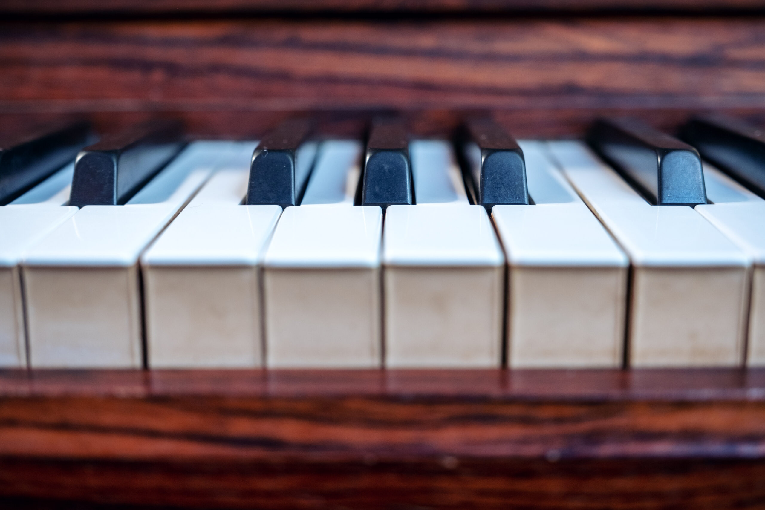 Turns Out, Adults Can Learn Cool Things, Too! – HonorsGradU